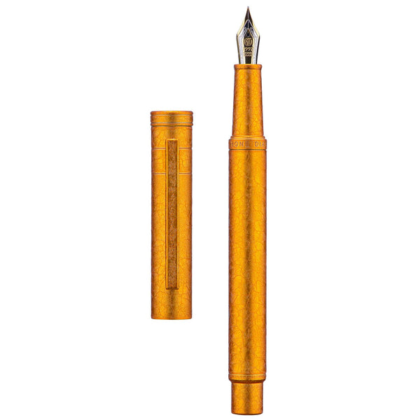 Hongdian 1851 Forest Fountain Pen Golden Ice Flowers, Bent Nib Classic ...