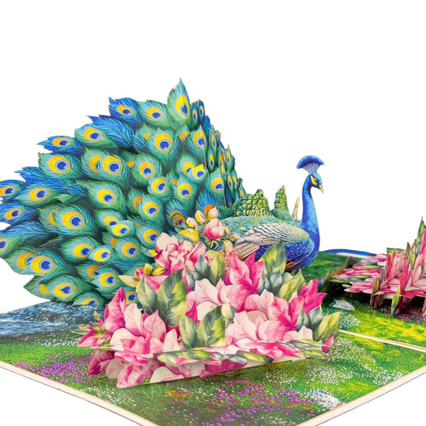 PQDGlobal 3D Peacock Popup Card - Handmade Elegant Bird Paper Art for ...